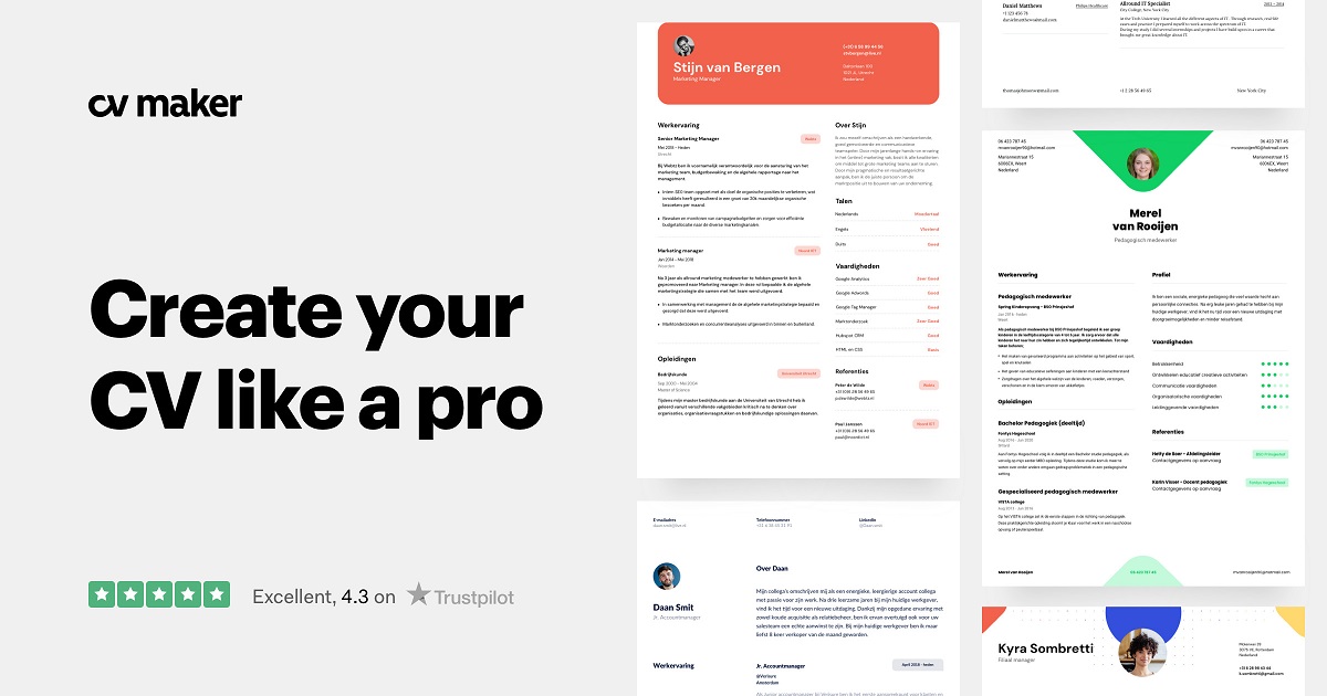 Academic CV - guide, template, and examples